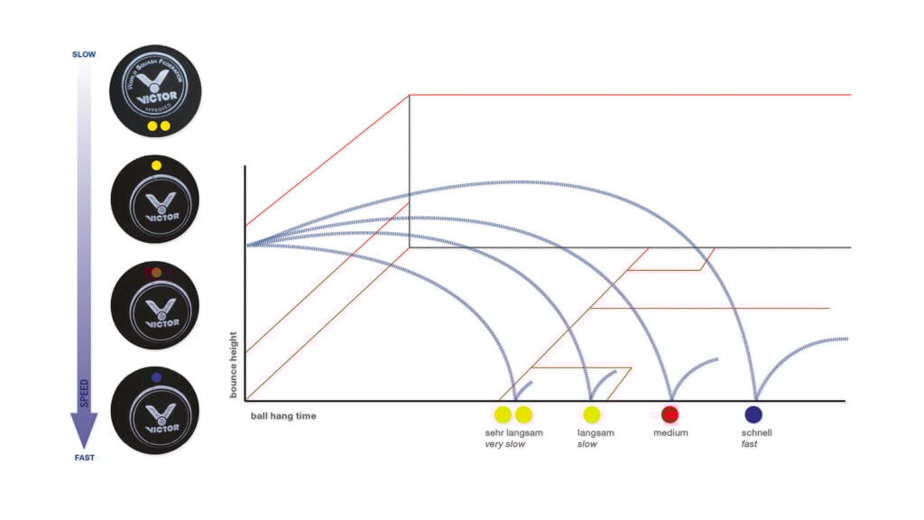 Squash-Regeln im Überblick | Kübler Sport Magazin
