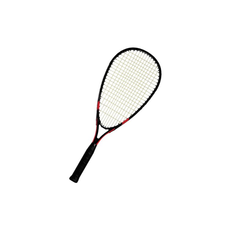 Speedminton® SCHOOL Racket kaufen | Rackets im Kübler Sport Onlineshop ...